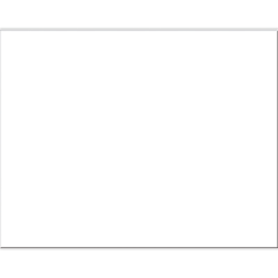 Pacon® White Railroad Poster Board, 22" x 28", Pack of 100 | Michaels