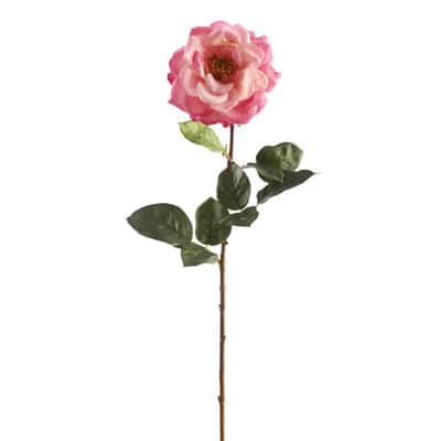 Garden Bloom Orlane Rose Stem Ashland™ | Michaels