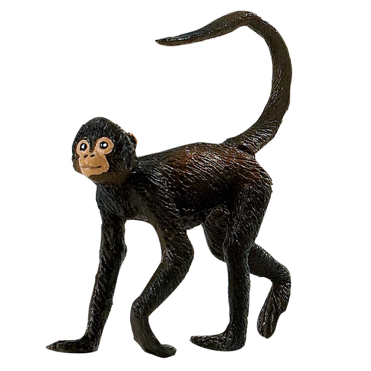 How To Draw A Spider Monkey Easy How To Draw A Spider Monkey Easy