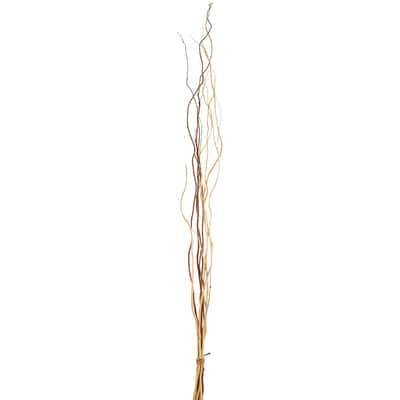 Buy in Bulk - 6 Pack: Mixed Natural Willow Bundle by Ashland® | Michaels