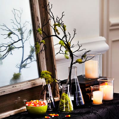 Chemistry Glass Flask Halloween Floral Branch Arrangement | Projects ...
