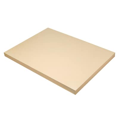 Pacon® 18" x 24" Heavyweight Manila Tagboard Sheet, 100 Count | Michaels