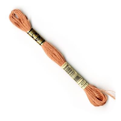 DMC® 6 Strand Embroidery Floss, Brown | Michaels