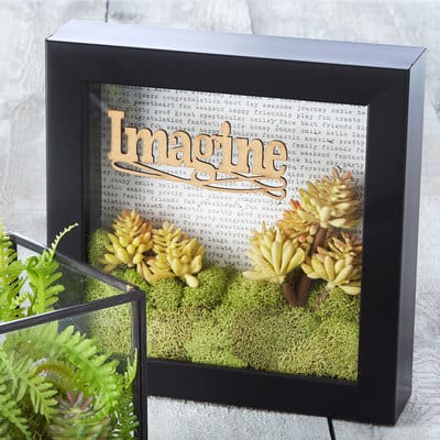 Imagine Terrarium Shadow Box | Projects | Michaels