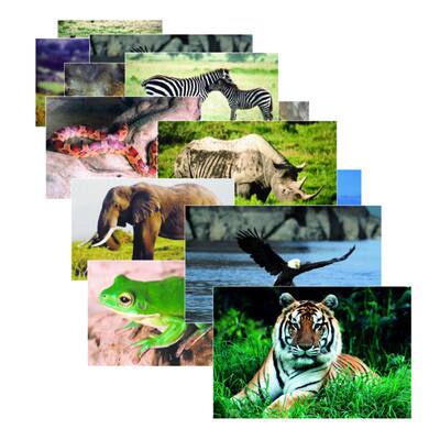Wild Animals Poster Set, Set of 10 | Michaels