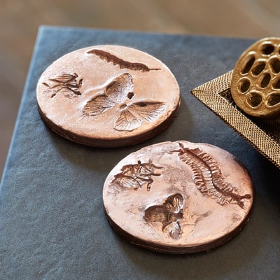 Natural Clay Insect Impressions | Projects | Michaels