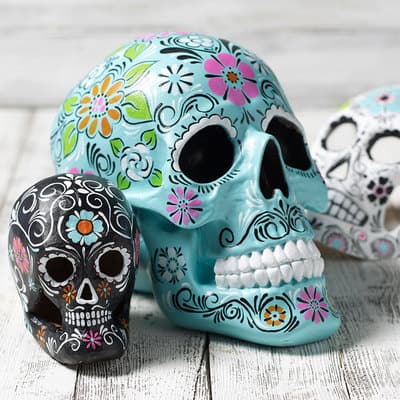 Teal Day of the Dead Skulls | Projects | Michaels