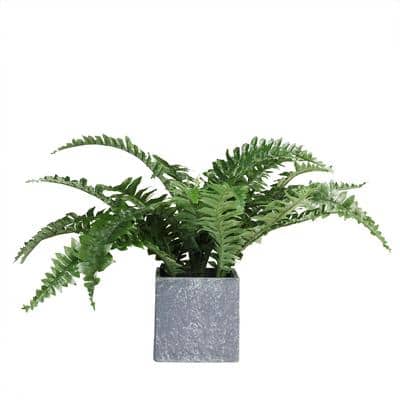 13" Artificial Boston Fern In Stone Look Paper Maché Pot | Michaels