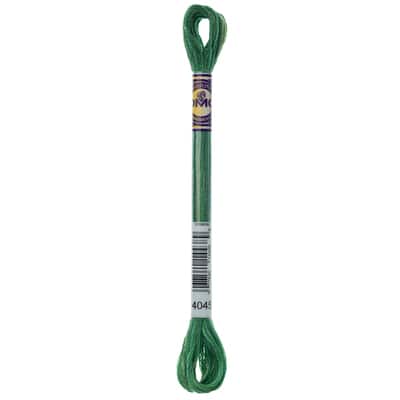 DMC® Color Variations Floss, Color: 4045 Evergreen Forest | Michaels