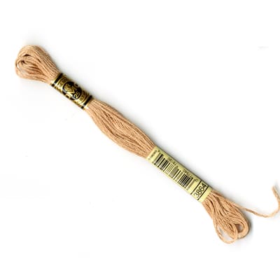 DMC® 6 Strand Embroidery Floss, Brown | Michaels