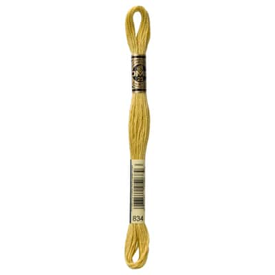 DMC® 6 Strand Embroidery Floss, Brown | Michaels