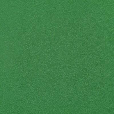 Esprit Irish Spring Green Vinyl | Michaels