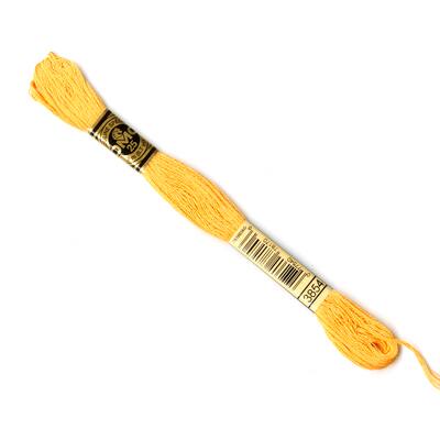 DMC® 6 Strand Embroidery Floss, Orange, Color: 3854 MD Autumn Gold ...