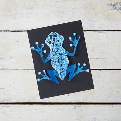 Aquarium: Poison Dart Frog 3D | Projects | Michaels