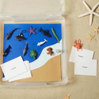 Classroom Ocean Match Game | Projects | Michaels